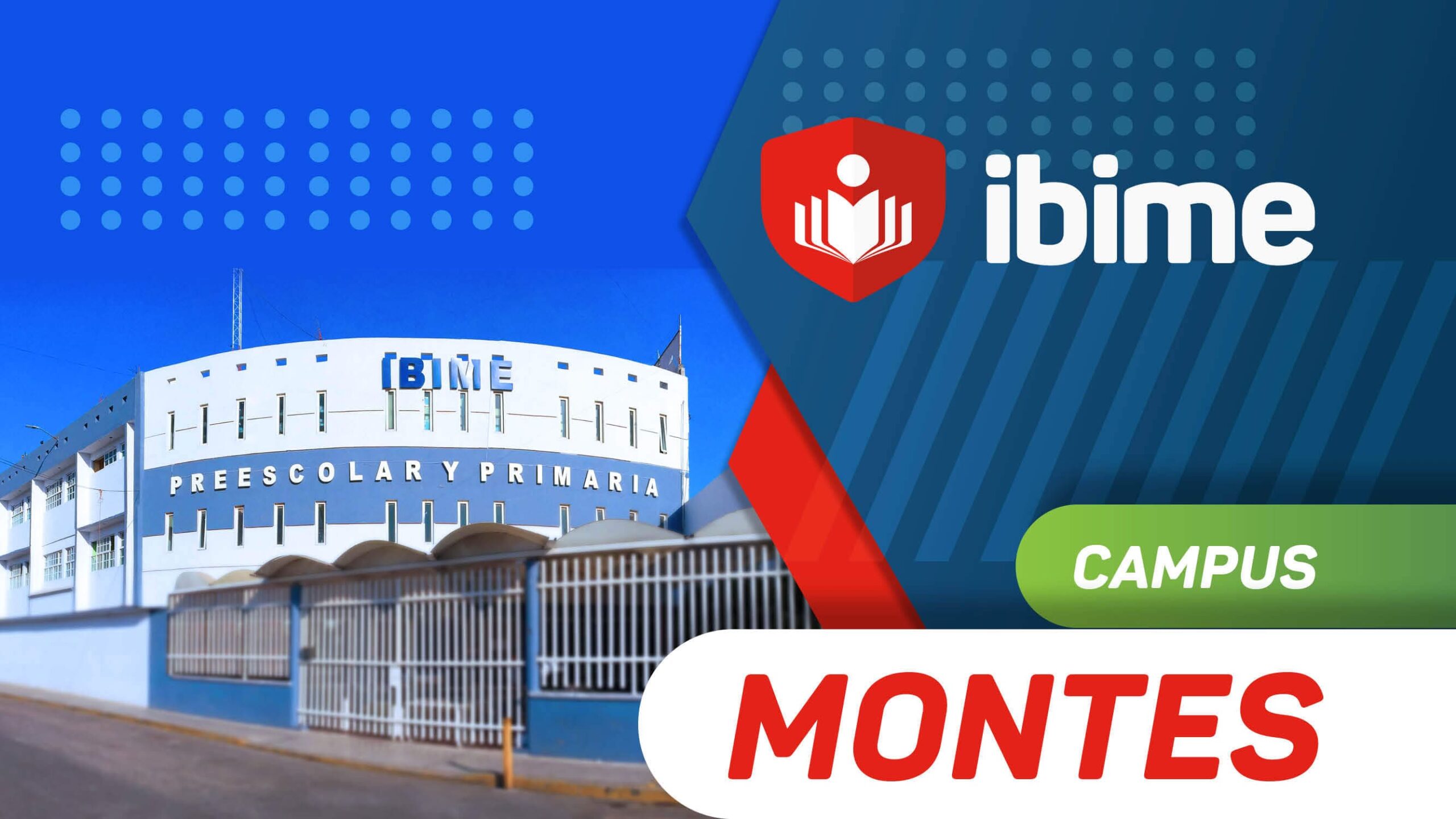 Ibime Logo